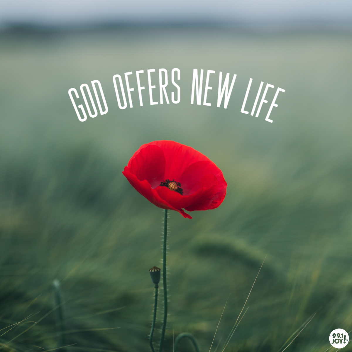 God Offers New Life - JOY FM - JOY FM