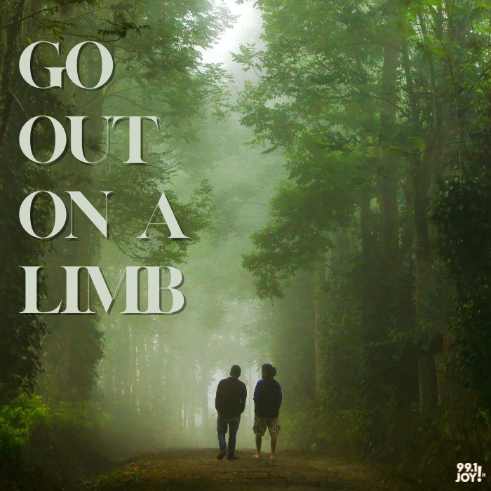 Go Out On A Limb - JOY FM - JOY FM