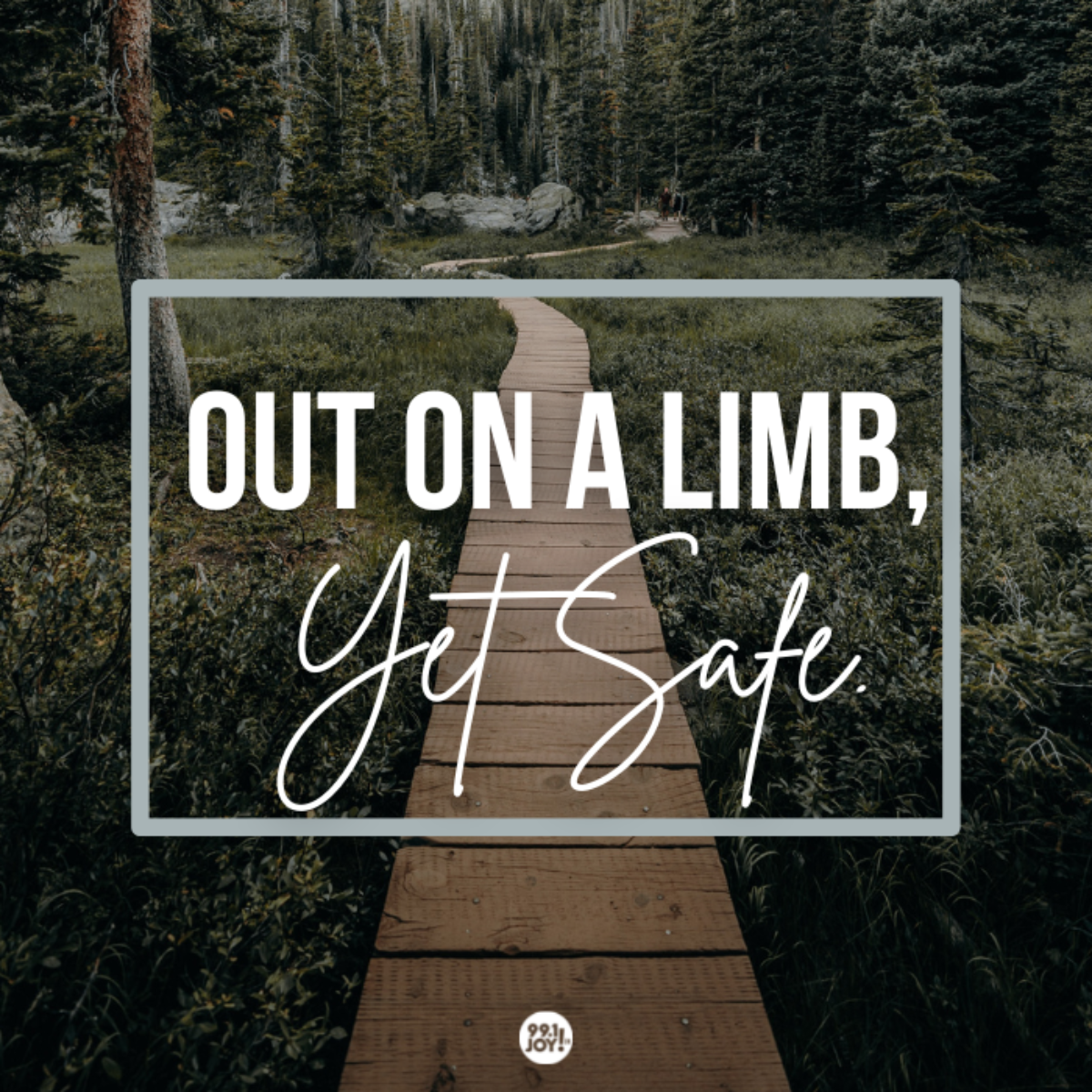 Out On A Limb, Yet Safe. - JOY FM - JOY FM