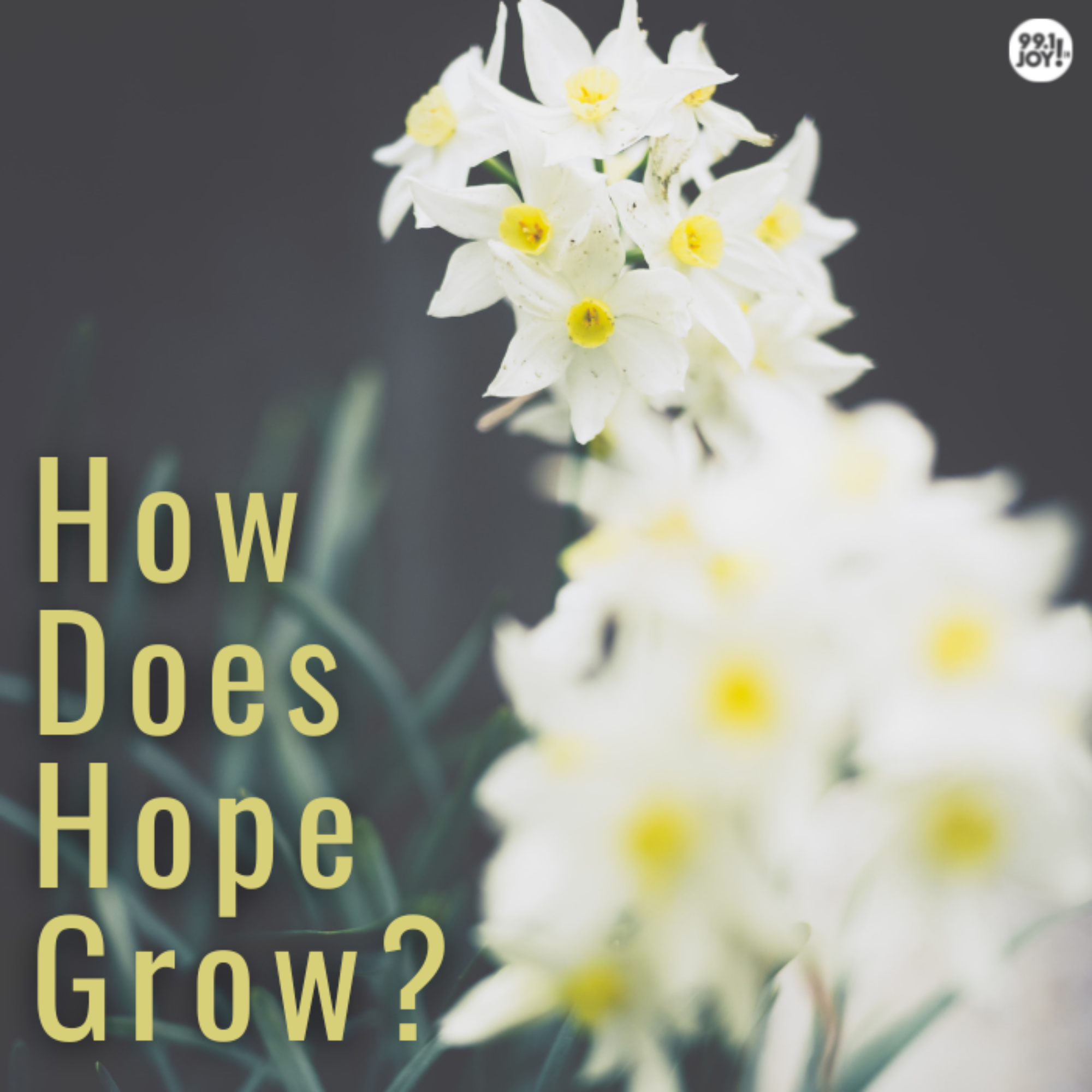 How Does Hope Grow? - JOY FM - JOY FM