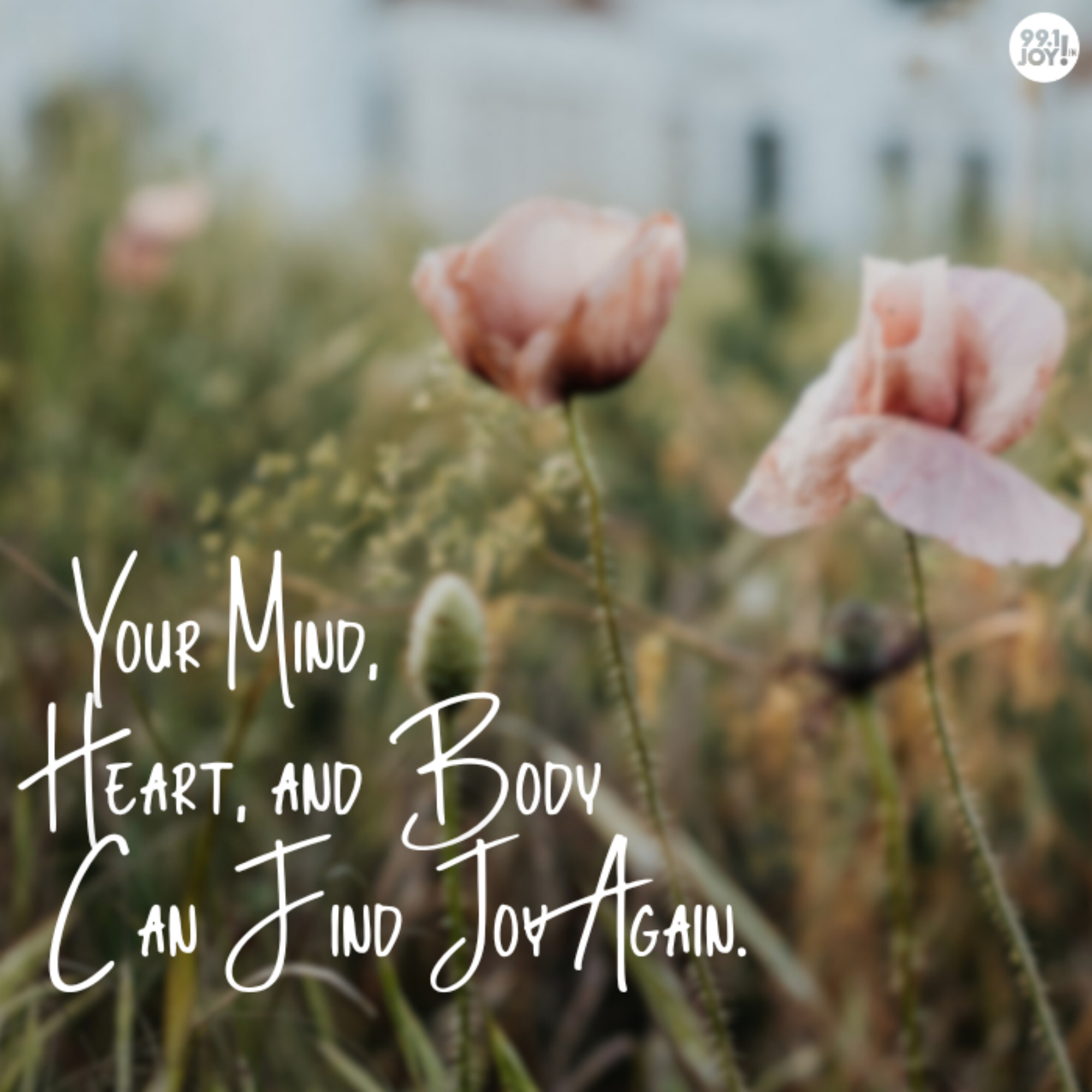 Your Mind, Heart, And Body Can Find Joy Again. - JOY FM - JOY FM