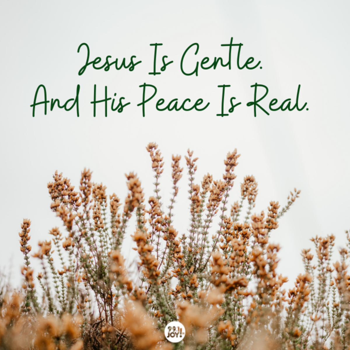 Jesus Is Gentle. And His Peace Is Real. - JOY FM - JOY FM