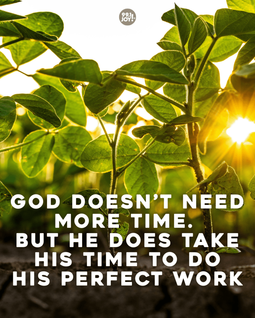 God Doesn’t Need More Time. But He Does Take His Time To Do His Perfect ...
