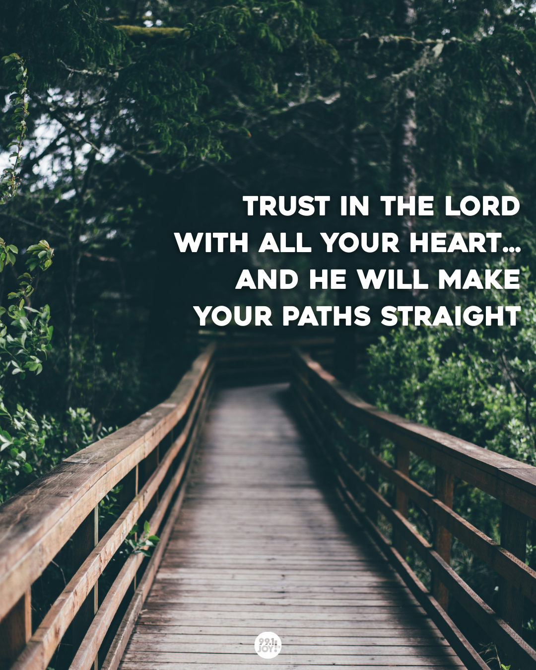 Trust In The Lord With All Your Heart…And He Will Make Your Paths ...